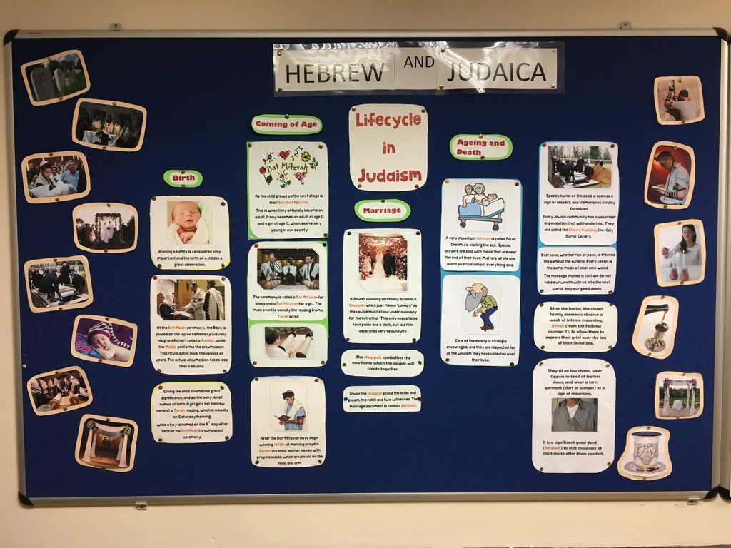 Jewish Studies students create impressive noticeboard displays | News ...