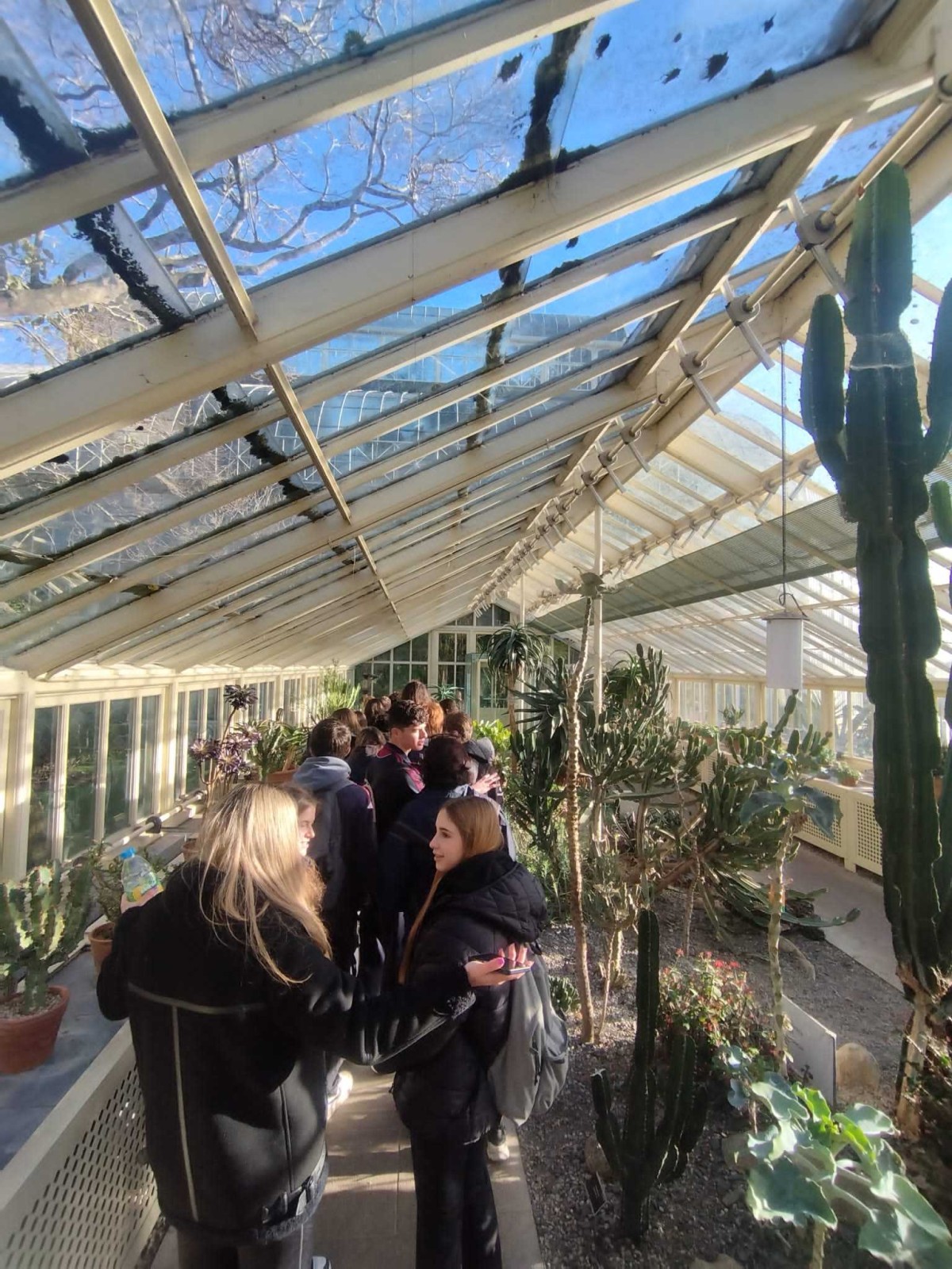 Science Week - TY's go to National Botanic Gardens | News | Stratford ...
